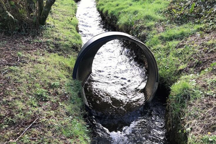 Red River: Listening to a Polluted River - Biodiversity & People Network